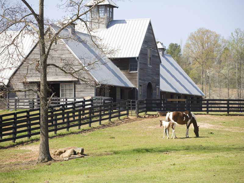 Neighborhood Profile: Serenbe | Atlanta Real Estate Blog
